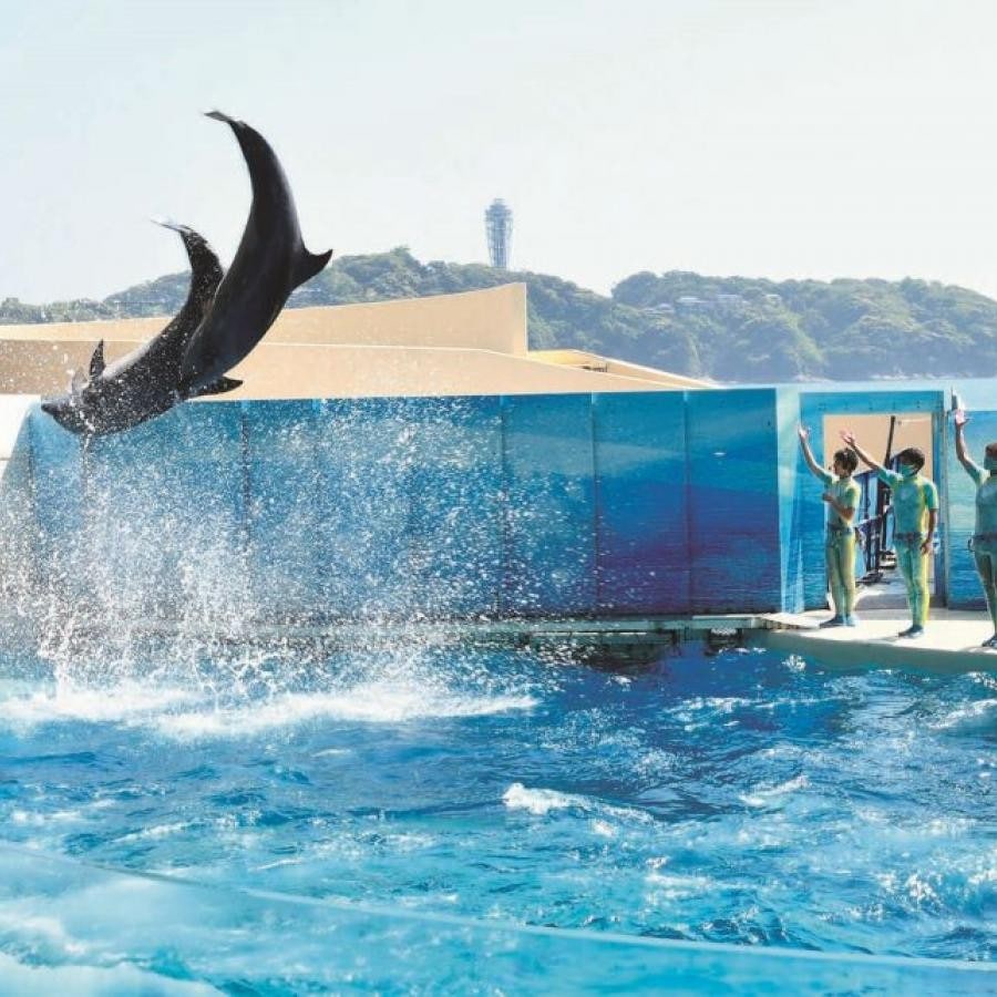 ハートフルセレクション ココロ ES／ECコース カタログギフト(冊子タイプ)｜ ラ・クッチーナ・フェリーチェ｜広島PARCO | ONLINE PARCO（オンラインパルコ）